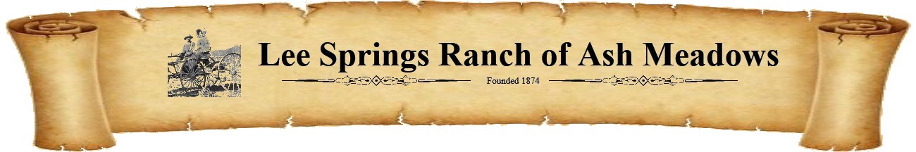 Lee Springs Ranch